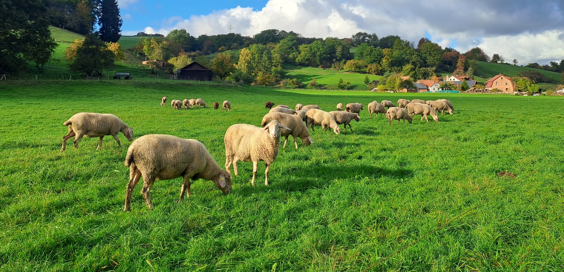 Gemeinde Bessenbach | Dienstleistungen