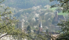 Gemeinde Bessenbach | Startseite