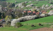 Gemeinde Bessenbach | Startseite